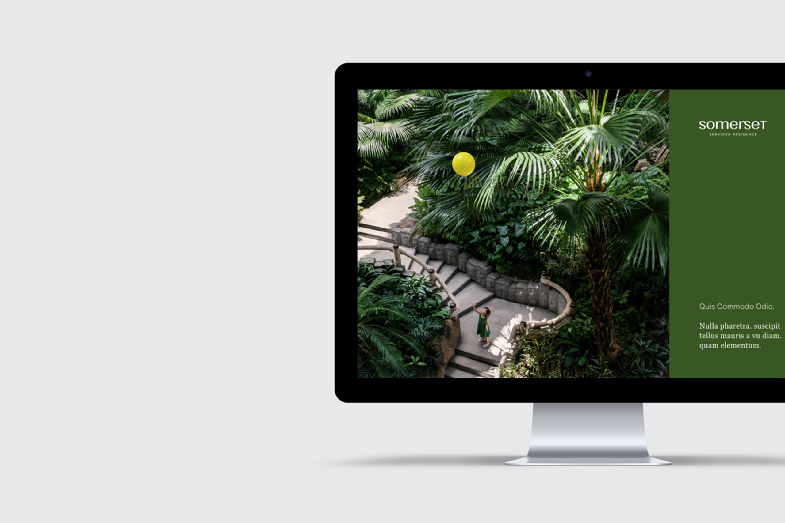 Whitespace brand and marketing communication - Whitespace Partners